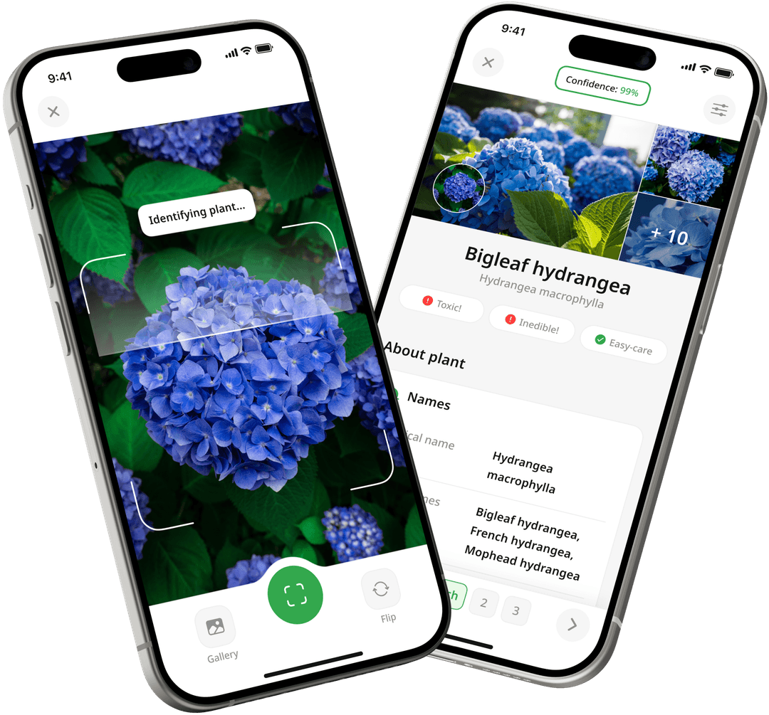 Plantium - Plant Identifier App